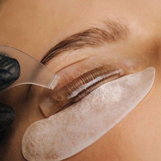 Training – The Lash Collection®