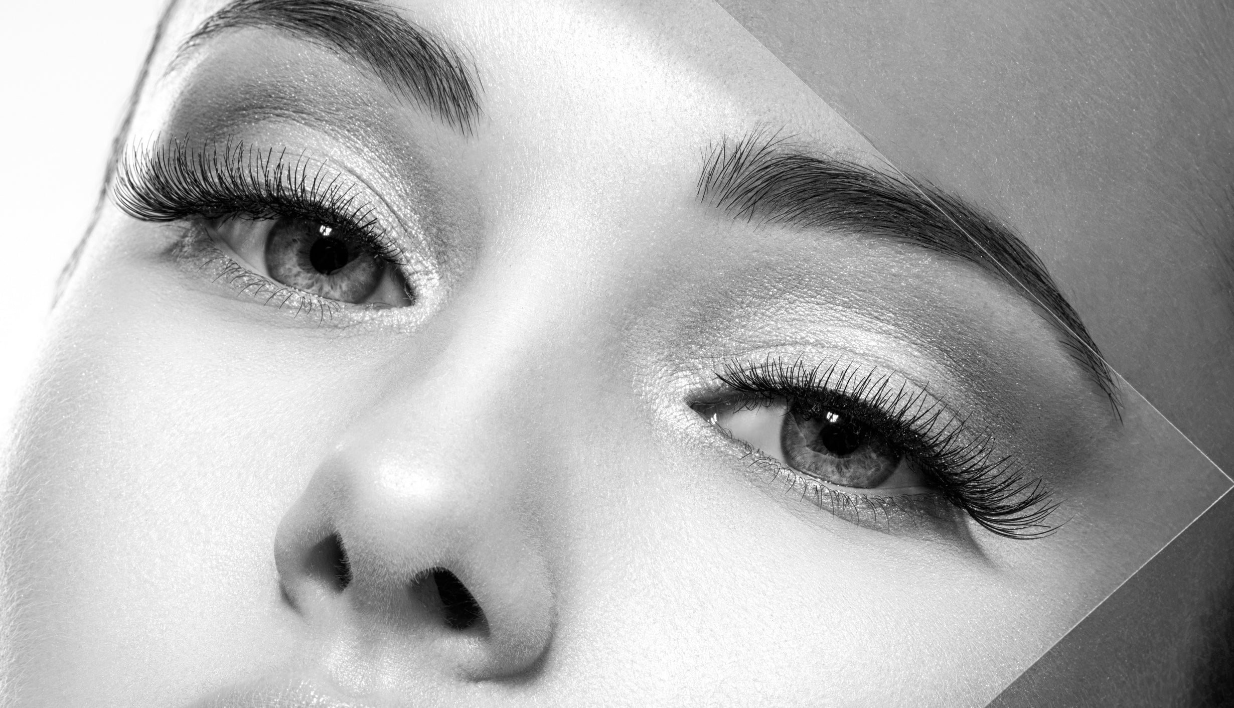 The Lash Collection® | Premium Lash & Brow Products